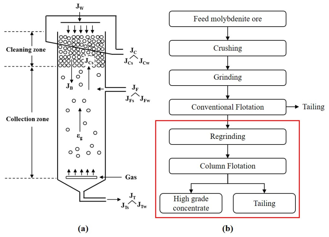 Experimental Design of Column Flotation for Recovery of High Grade ...